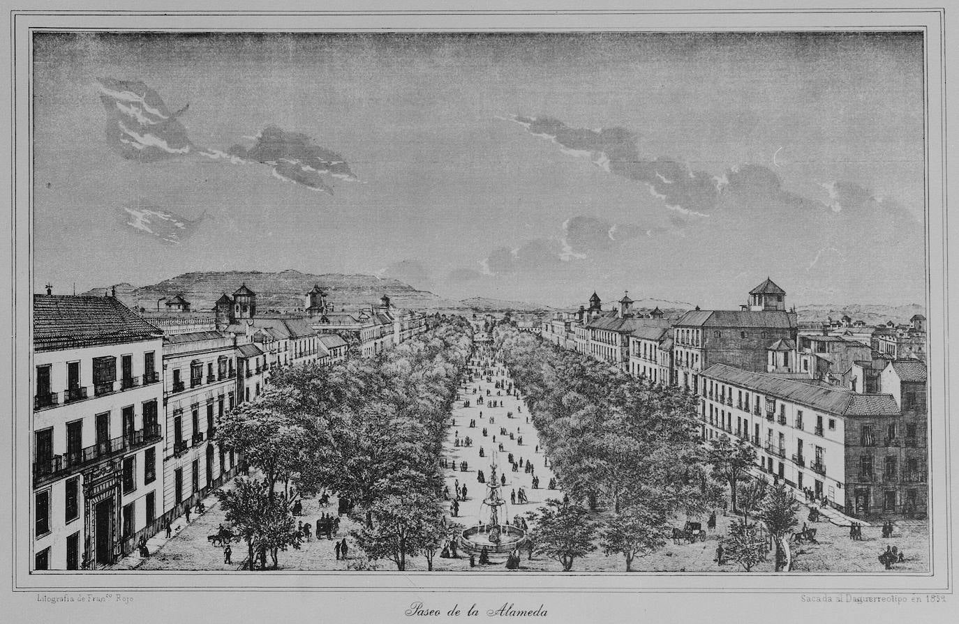 Fotos: La Alameda: el gran paseo de Málaga. Foto del siglo XIX a la ...