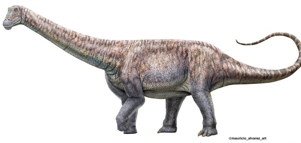 Paleontología: Arackar licanantay, la nueva especie de dinosaurio ...