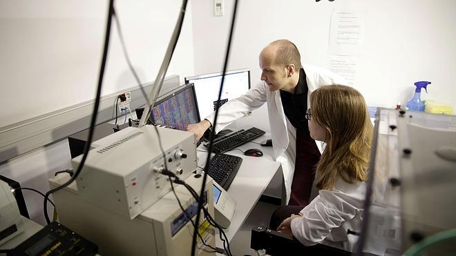 Científicos españoles descubren mecanismos que abren la puerta al ...