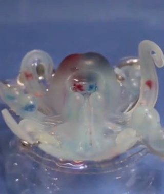 Octobot, el primer robot autónomo y flexible | Diario Sur