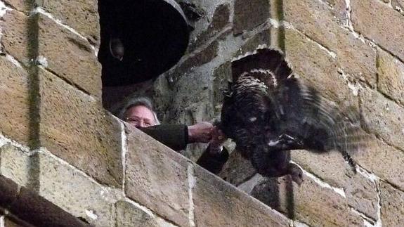 Lanzar un pavo desde un campanario no es maltrato, según un juez ...