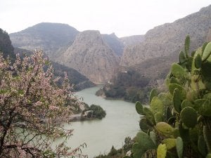 Haza del Río, por las estribaciones de Huma | Diario Sur